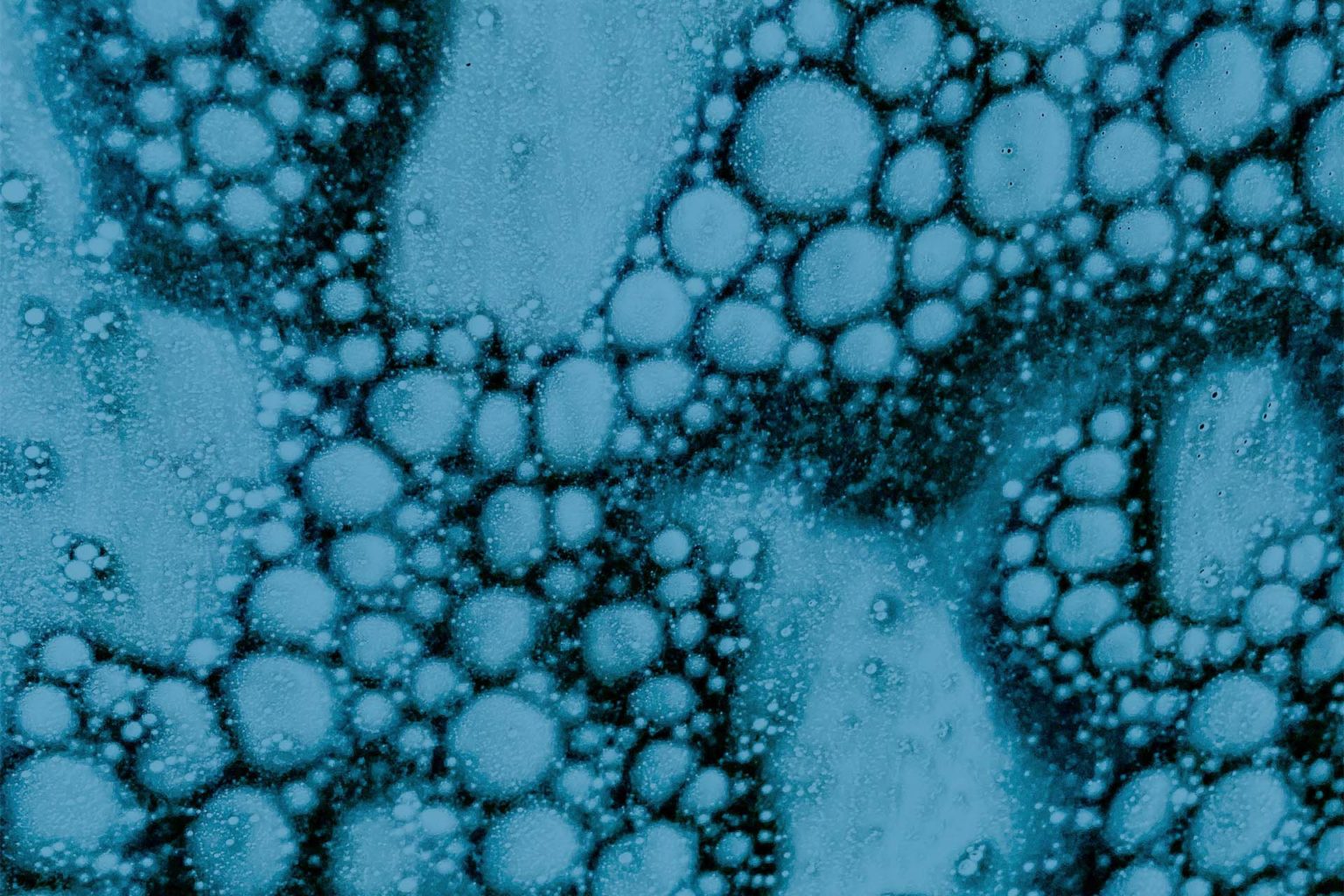 Freezing Medium | Microtech