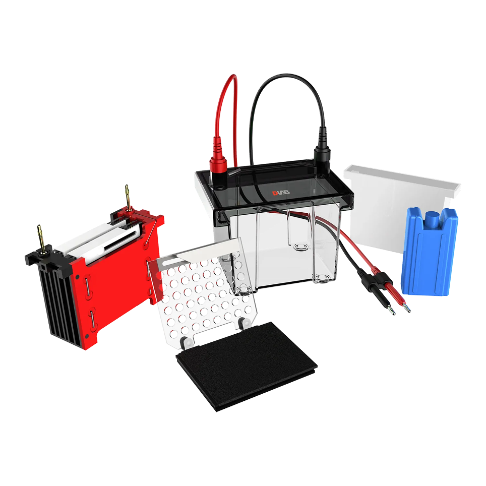 From Gel to Blot - Complete Electrophoresis Systems | Microtech